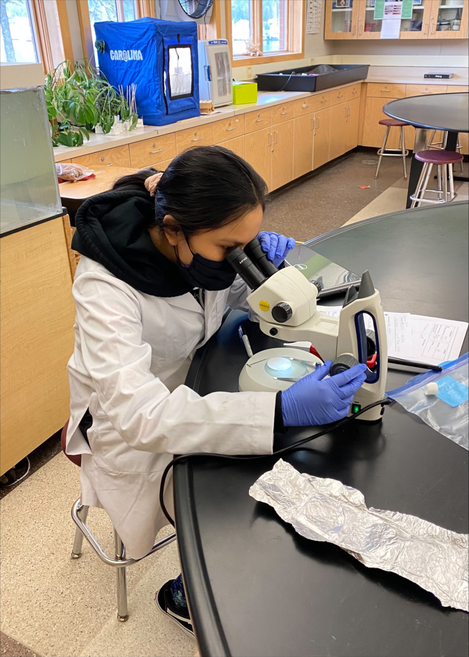 Jordan David - Doyon