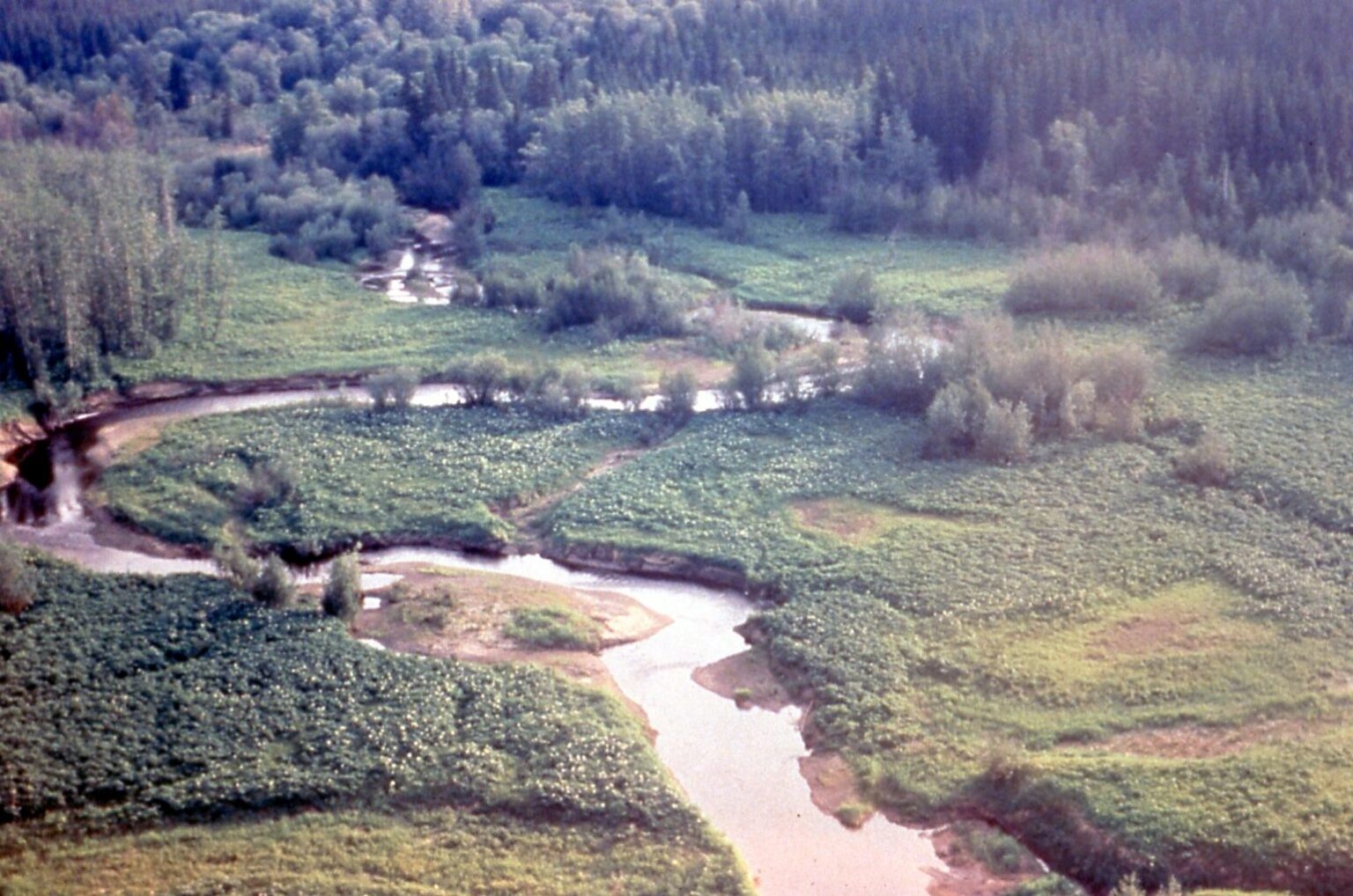 ‘Group Tackles Selections’ - Doyon