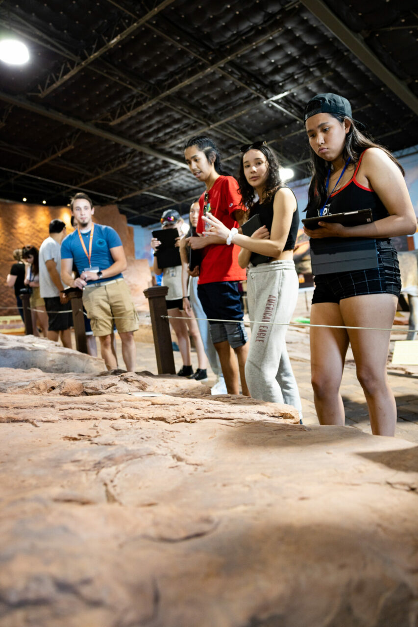 GeoFORCE Alaska – Doyon