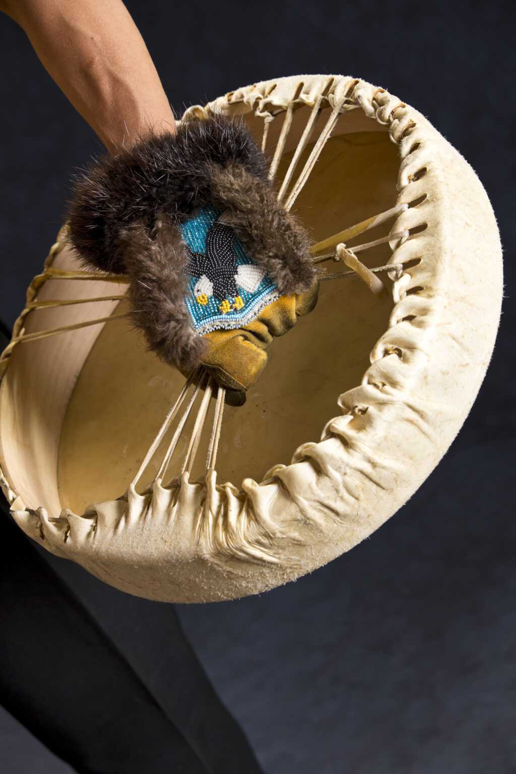 Doyon – The Native regional corporation for Interior Alaska