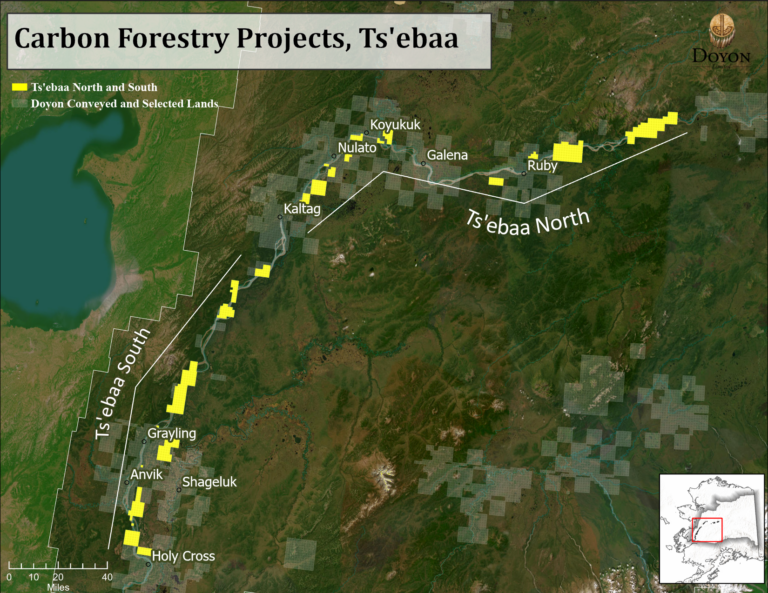 Carbon Forestry - Doyon