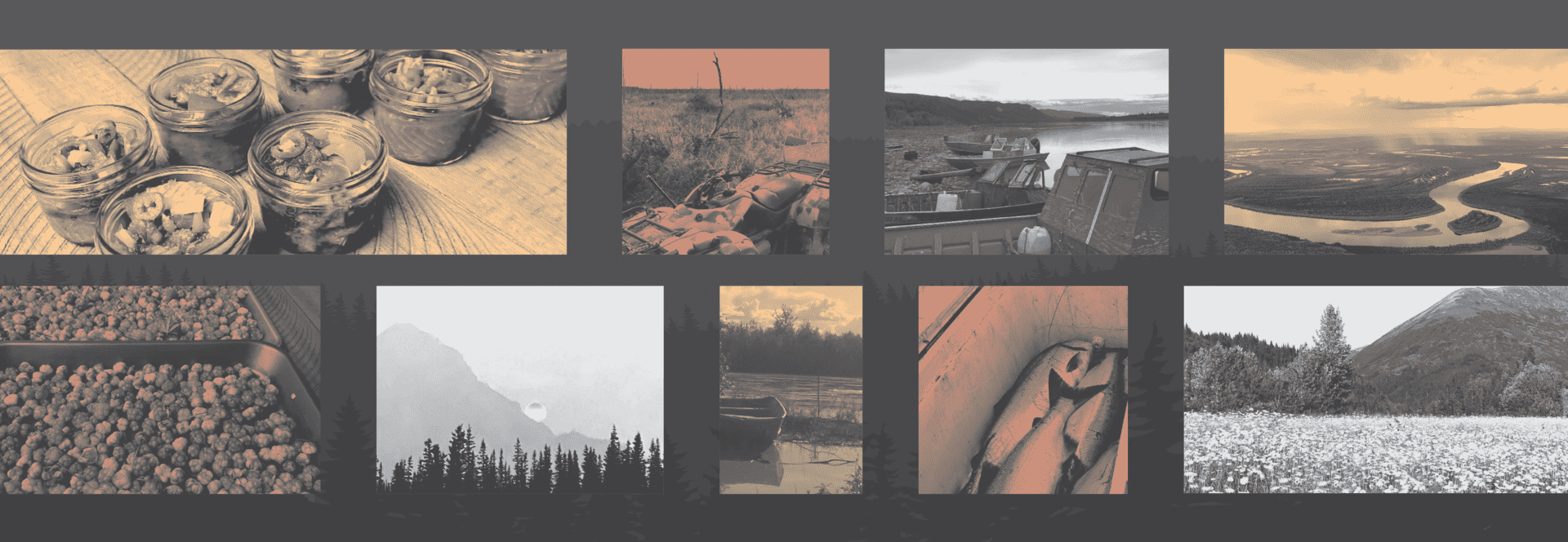 eProxy Updates and FAQs - Doyon