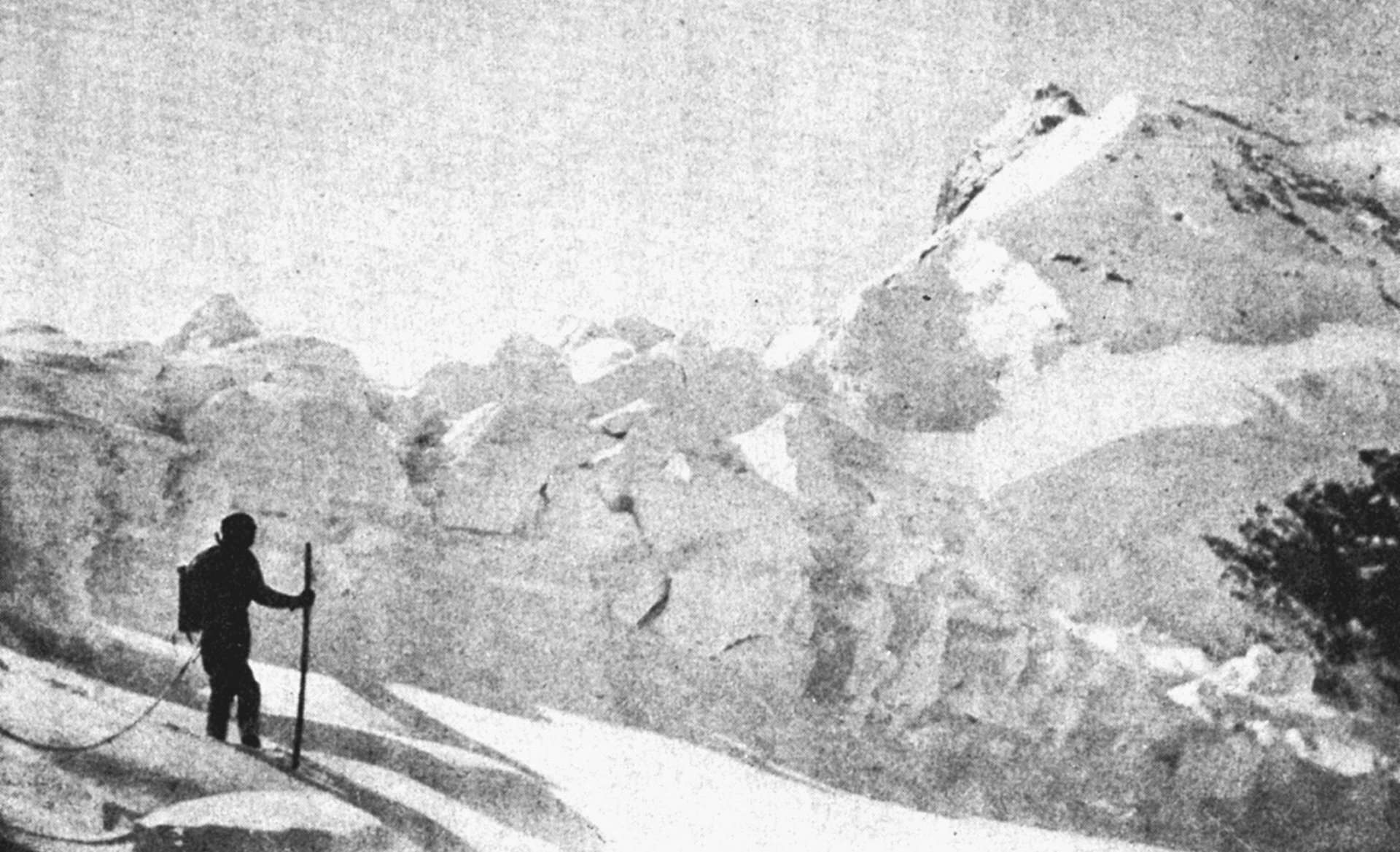 Walter Harper - Doyon