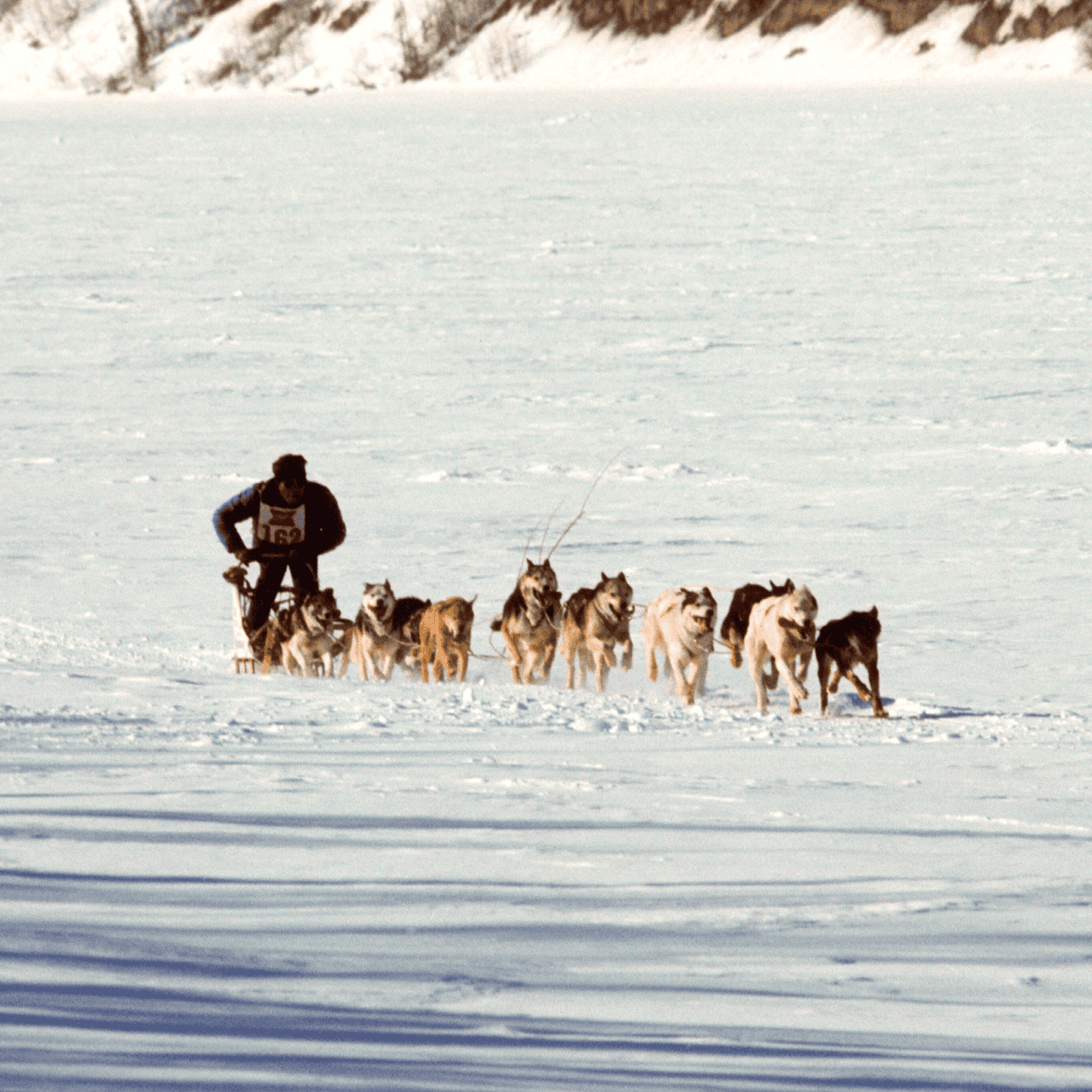 Doyon - The Native regional corporation for Interior Alaska