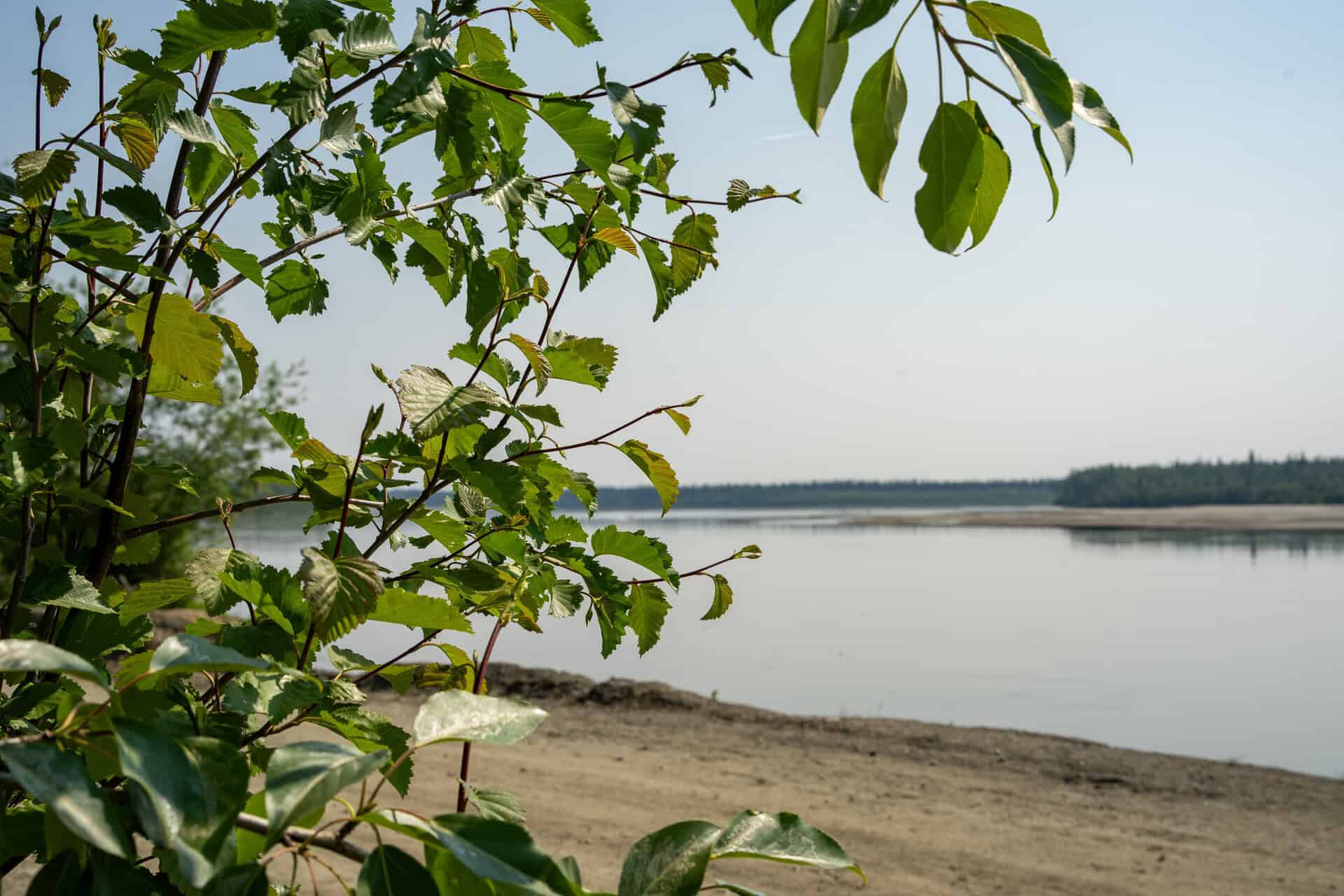 Lands Management - Doyon